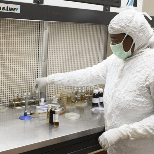 CAPS Pharmaceuticals | Gallery